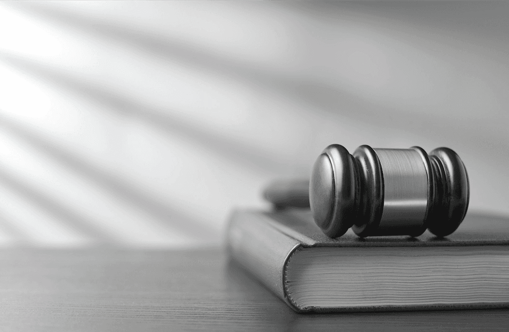 InfoDocs Company Secretarial Software | Integrated with CIPC