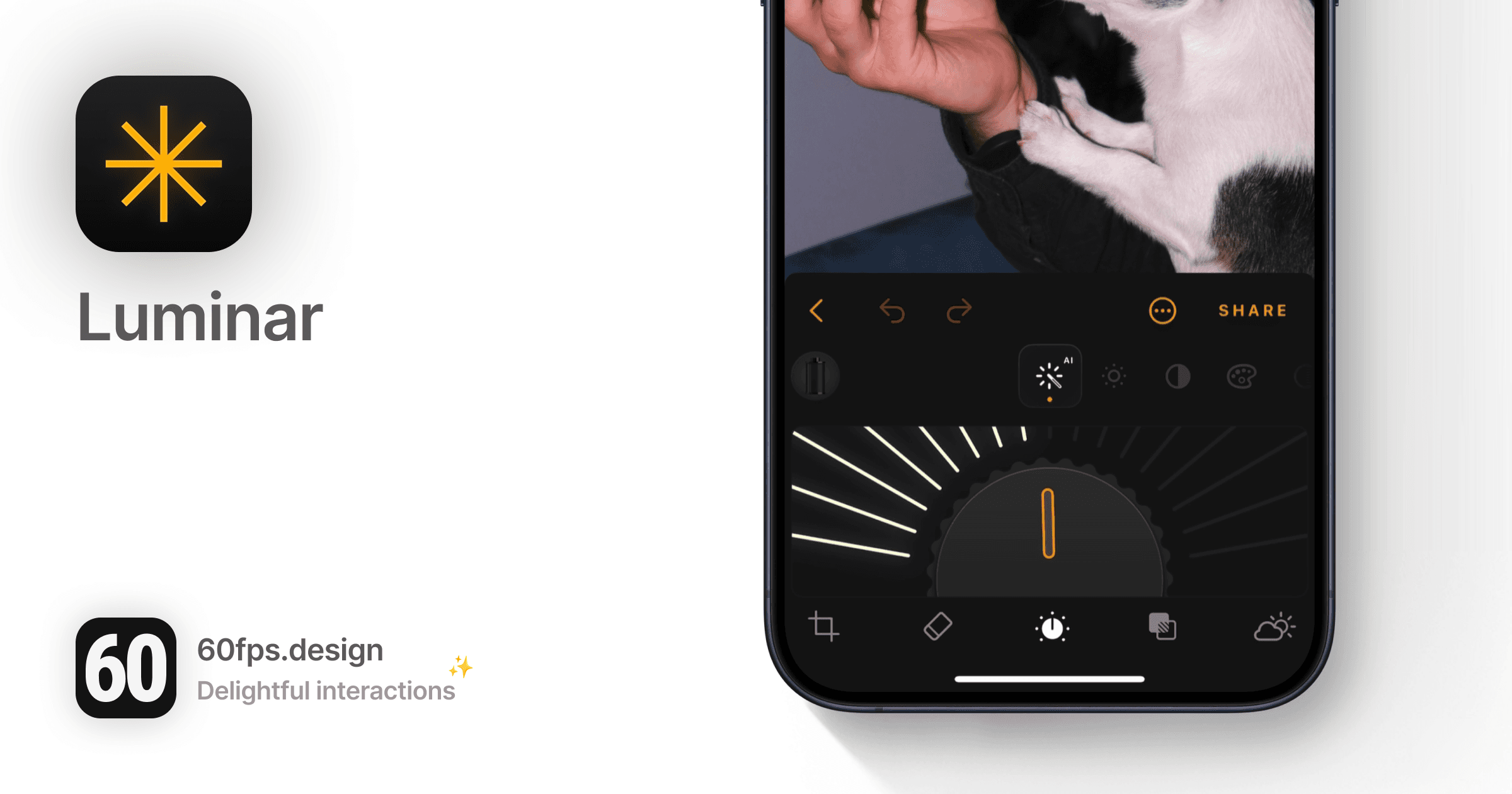 Luminar iOS App UI/UX animation