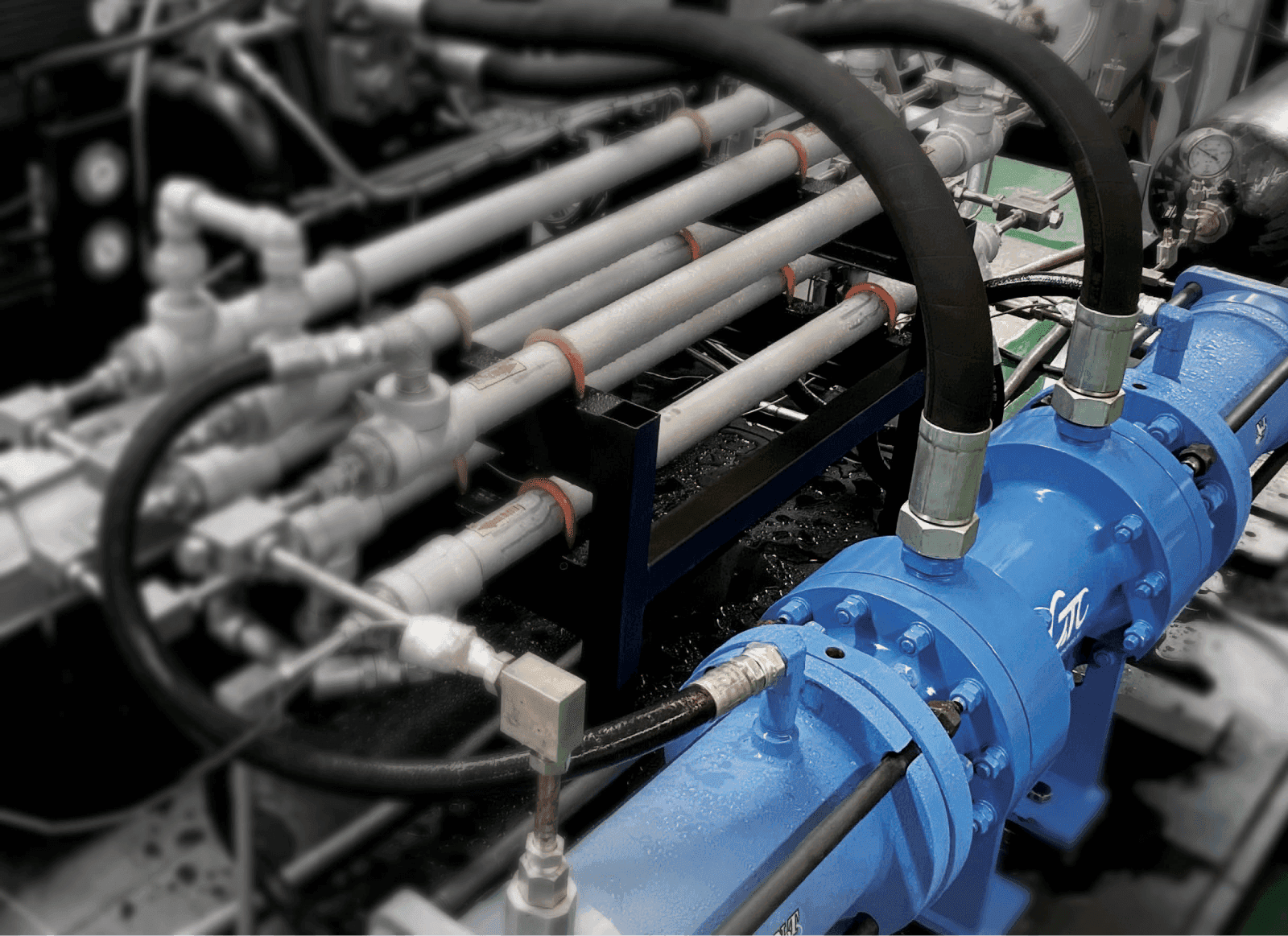 Our works | Digital Tails Group