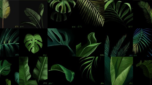 Define your visual style in five steps