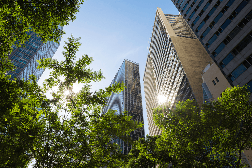 Carbon footprint data collection: Common challenges and how to solve ...