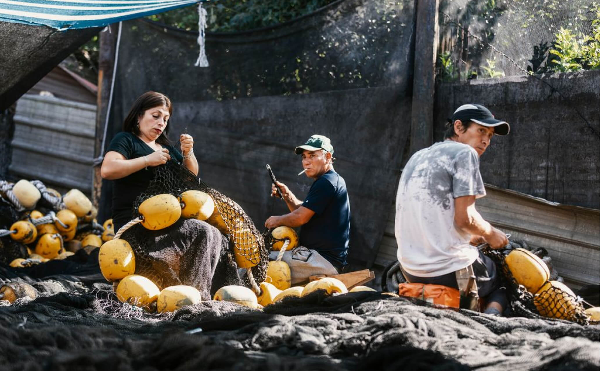 Bureo® – NetPlus® Impact