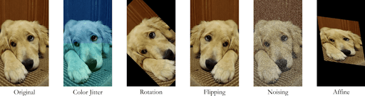 The Beginner’s Guide to Contrastive Learning