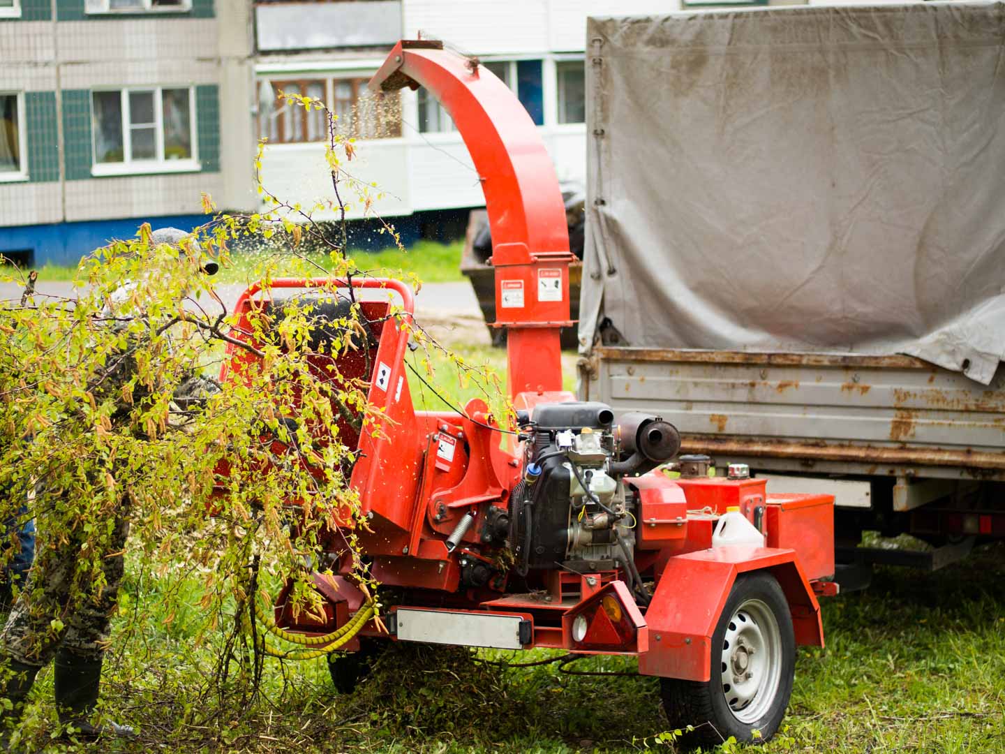 Professional Tree Removal | Athens Tree Service Inc.