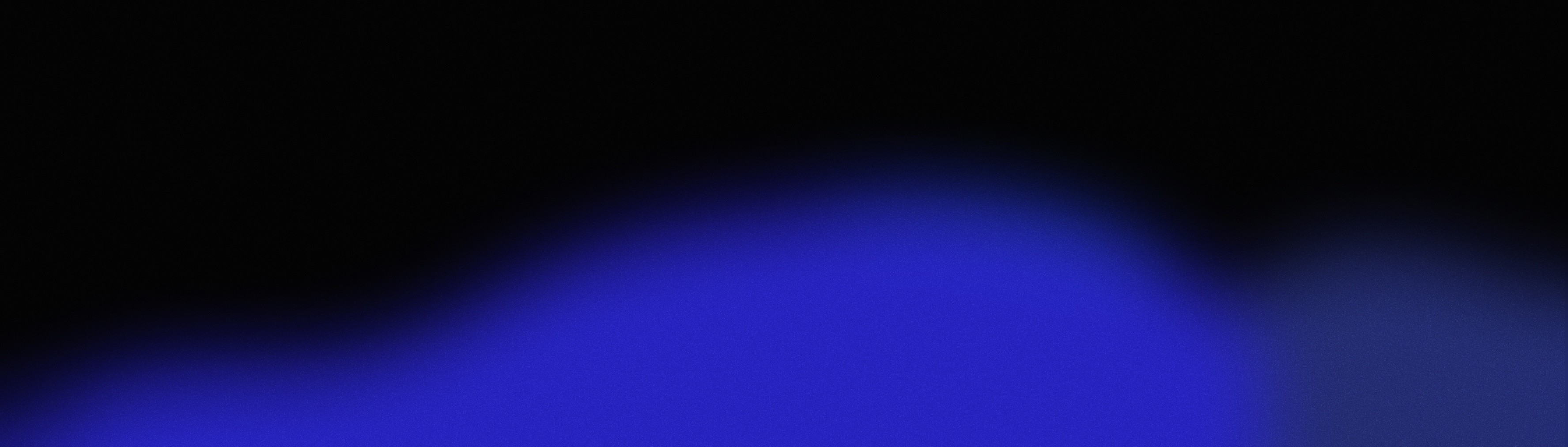 BlueVerse For Business | Your Local Loyalty and Digital Marketing Strategy