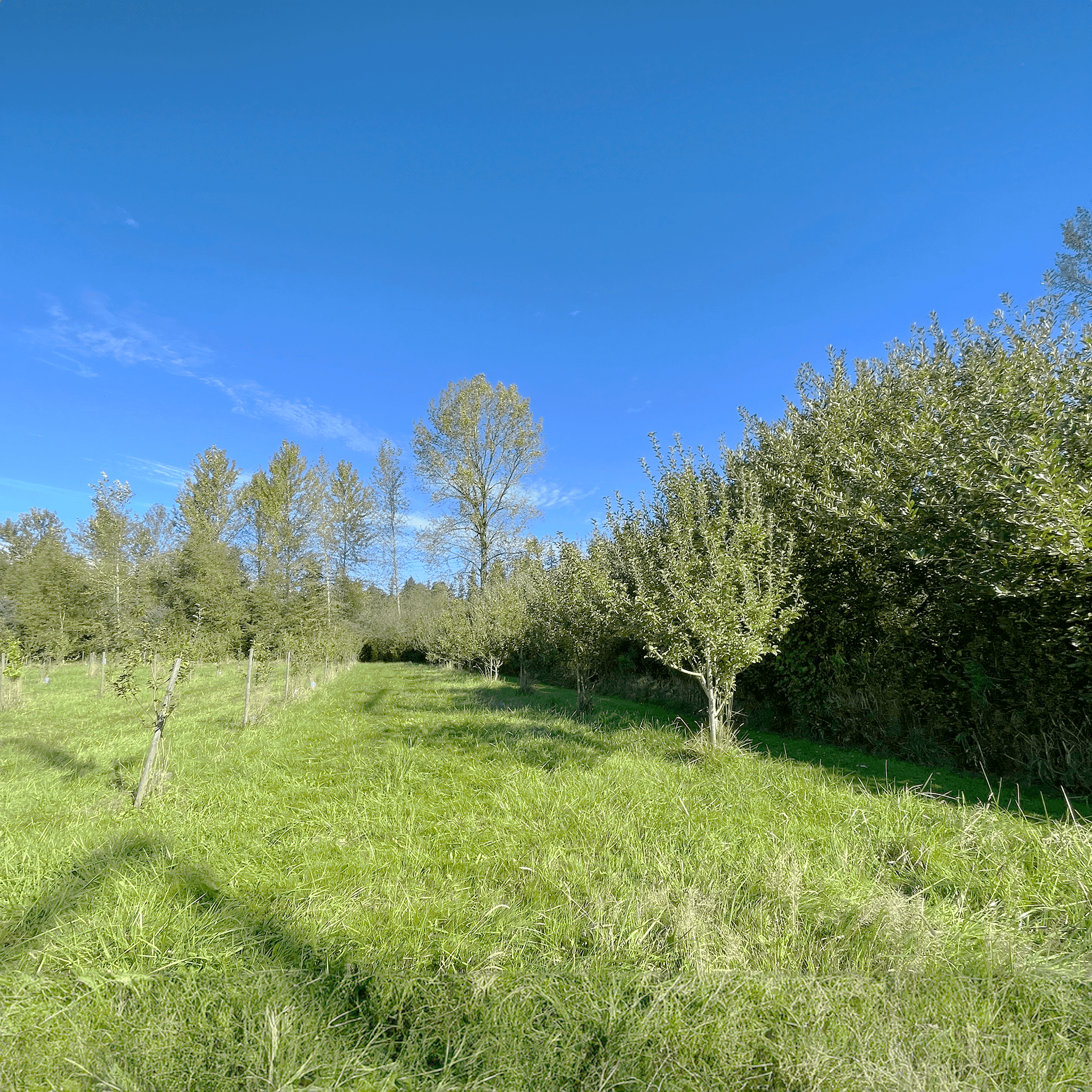 Agroforestry Northwest