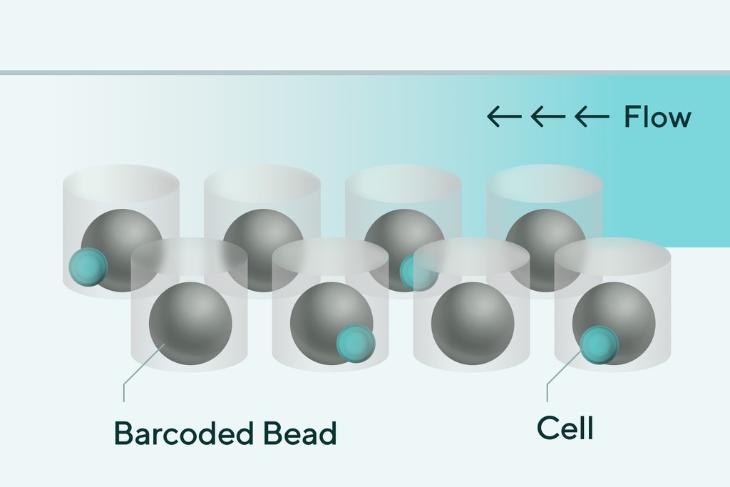 シングルセルRNA-seq | イムノジェネテクス (ImmunoGeneTeqs)