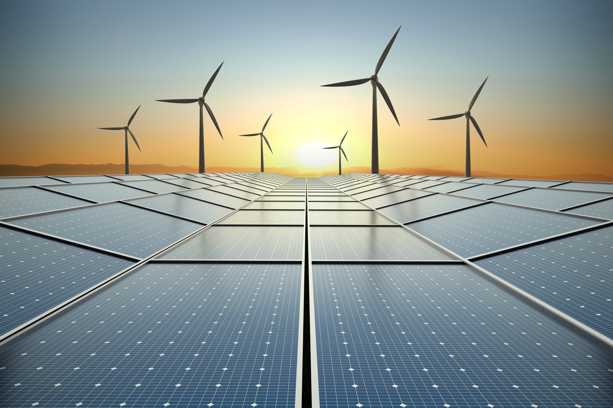 Good Climate News | Positive Environmental Stories | Ecologi