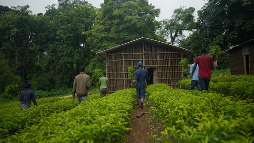 About Us | Restor.eco