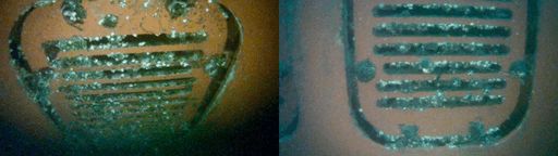 Marine Fouling: The Hidden Drag on Global Shipping – Vesselity Maritime ...