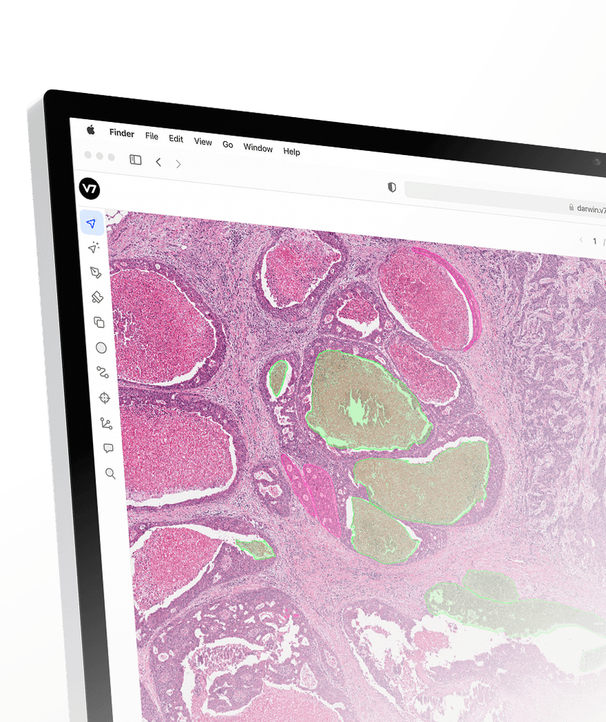 V7 Darwin Pricing | AI-Assisted Data Labeling Platform