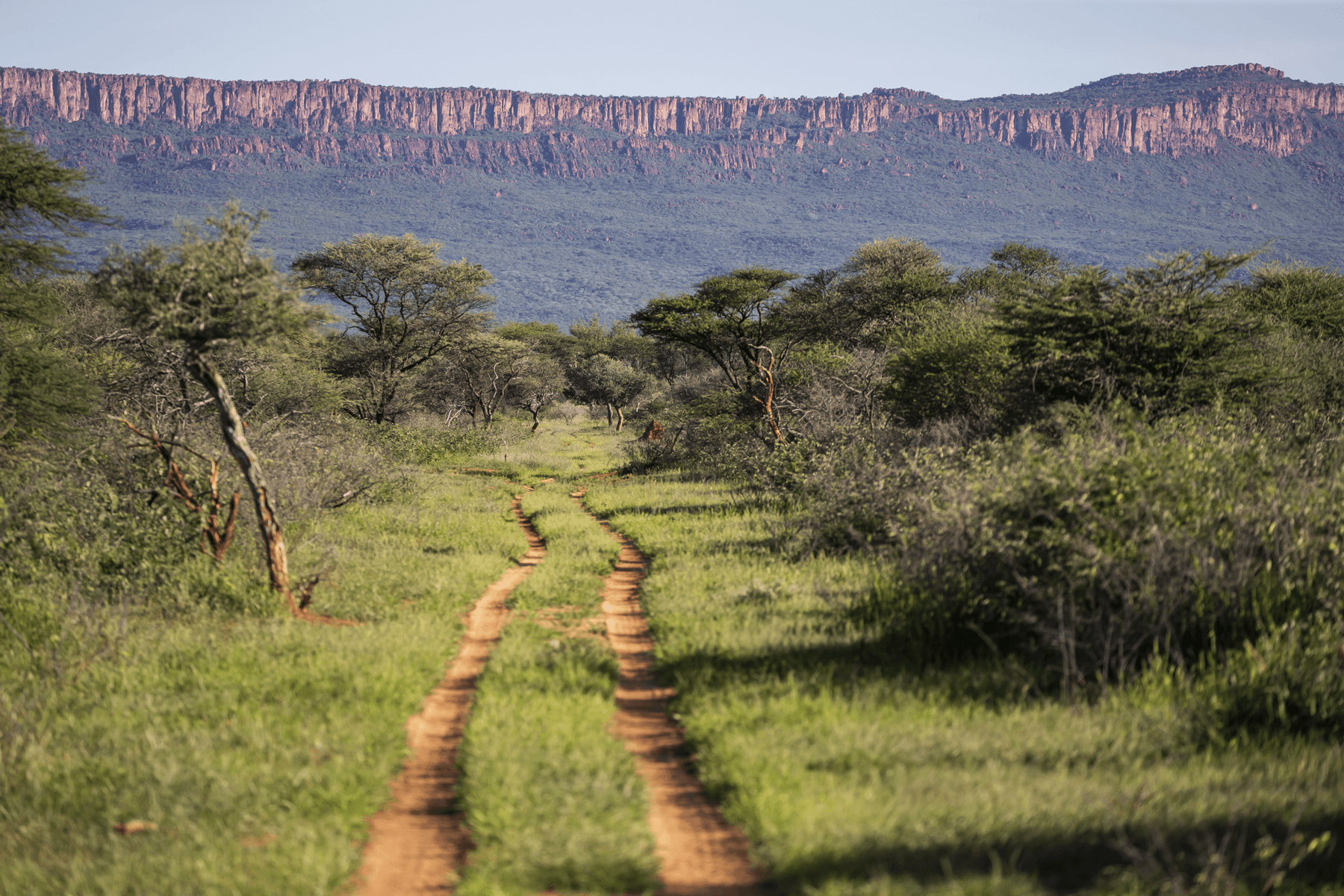 Central Namibia | Top Safari Locations with Secret Namibia