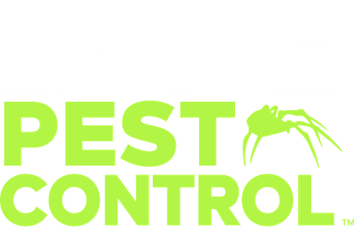 Boise Pest Control, LLC | Safe Treatments in Boise, ID