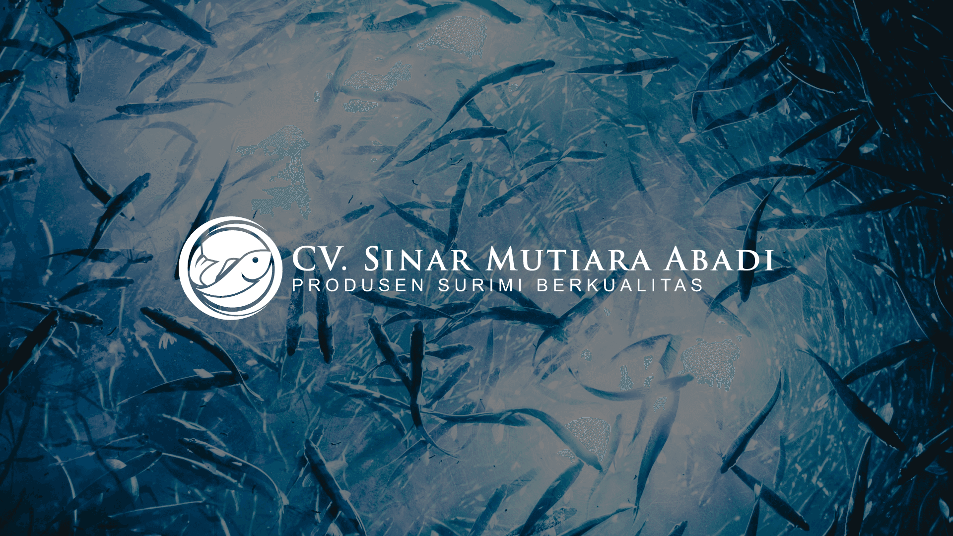 Surimi Fish: Types of fish used in the making of surimi - CV. Sinar ...