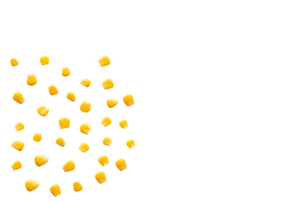 Masterly Food | Home