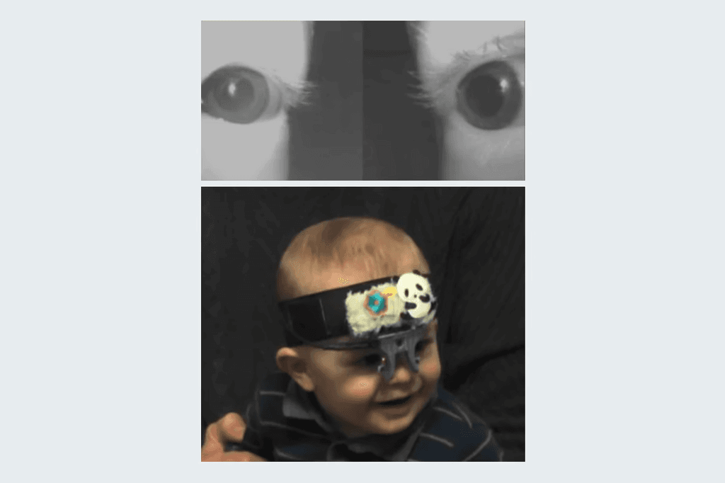 A Step Forward in Infant Eye Tracking: Capturing Real-World Gaze Data ...