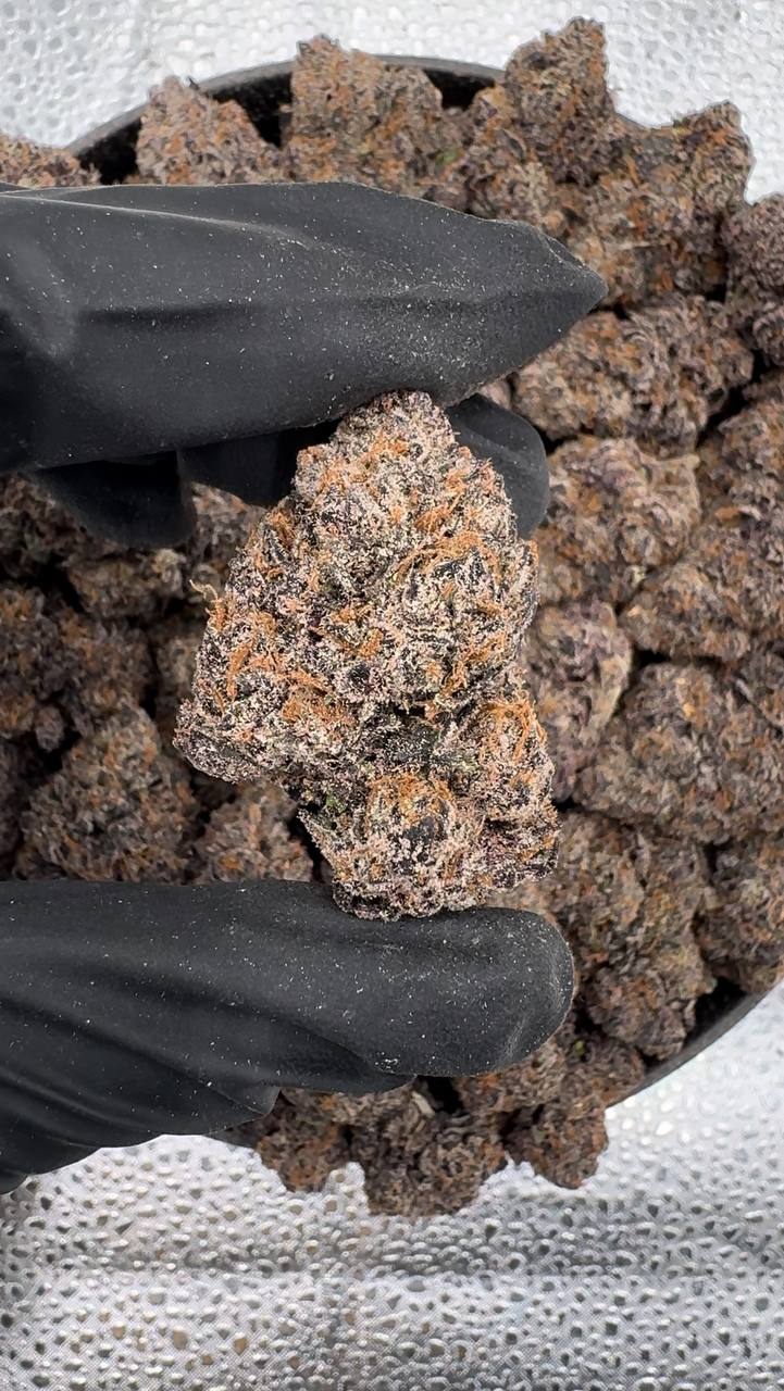 Flower - Cali Exotics