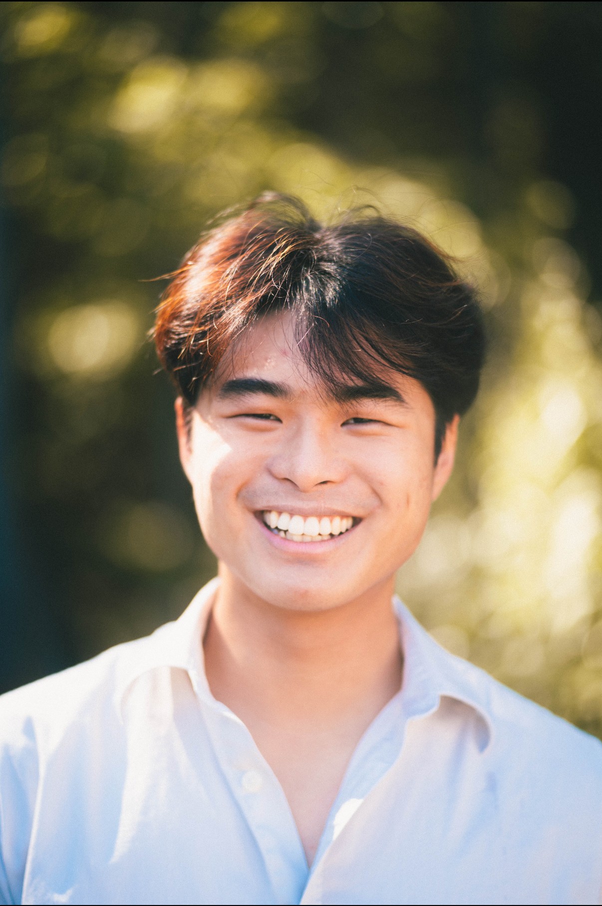 Turboship - Turbo AI Creator Program