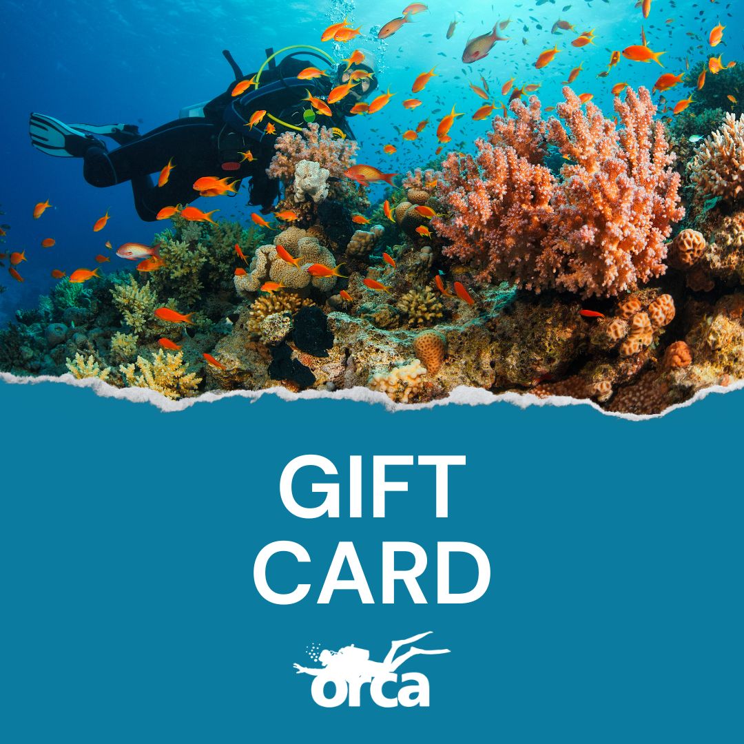 Gift Cards | Orca Scuba Diving Academy | Essex’s 5★ PADI Centre