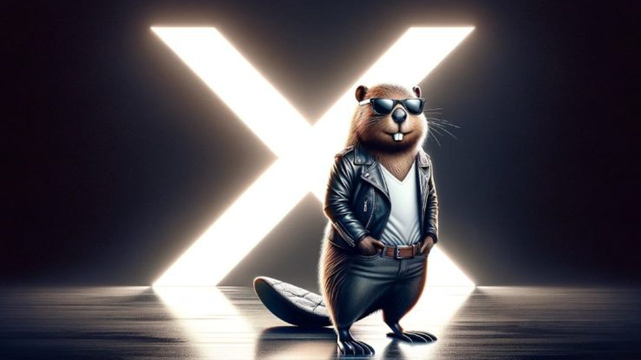 BOBER - The first memecoin on MultiversX