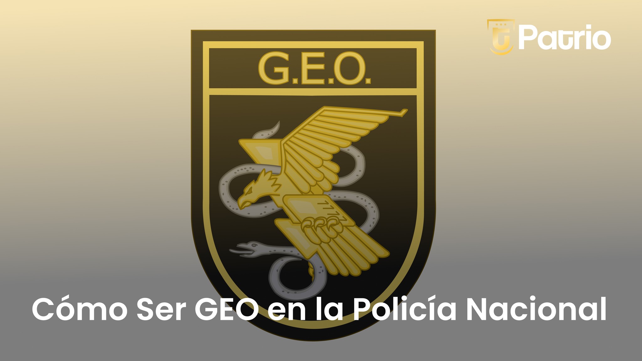 Cómo ser GEO en la Policía Nacional: camino a la élite - Patrio