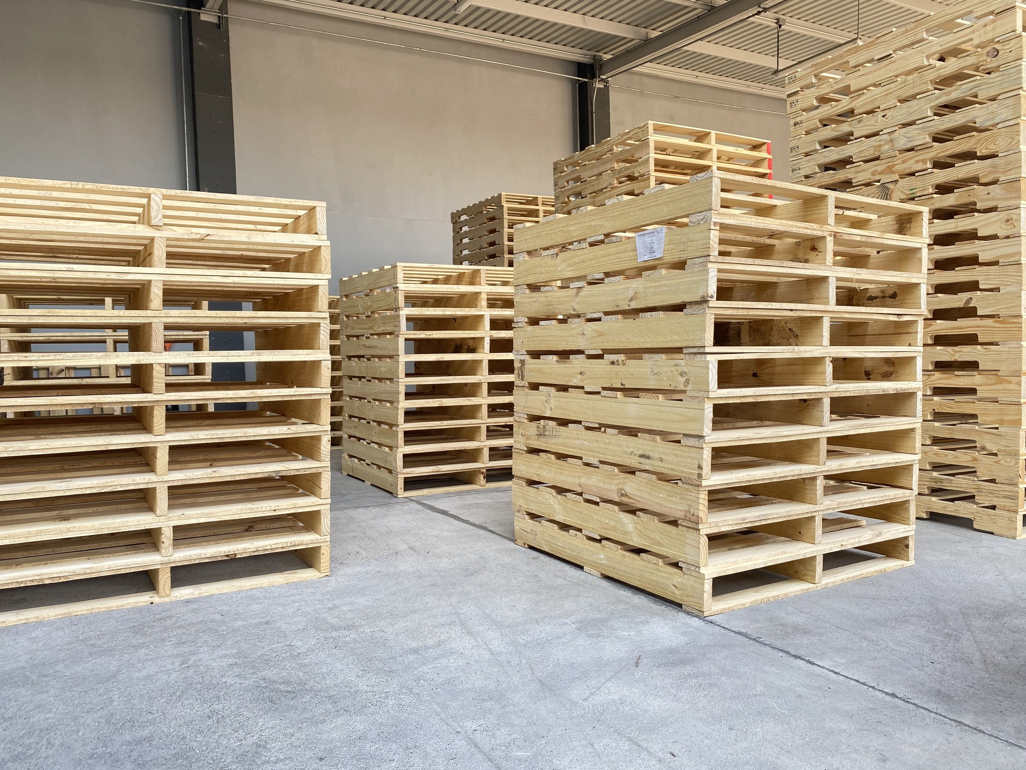 Tarimas y Maderas de Mexico | Tarimex