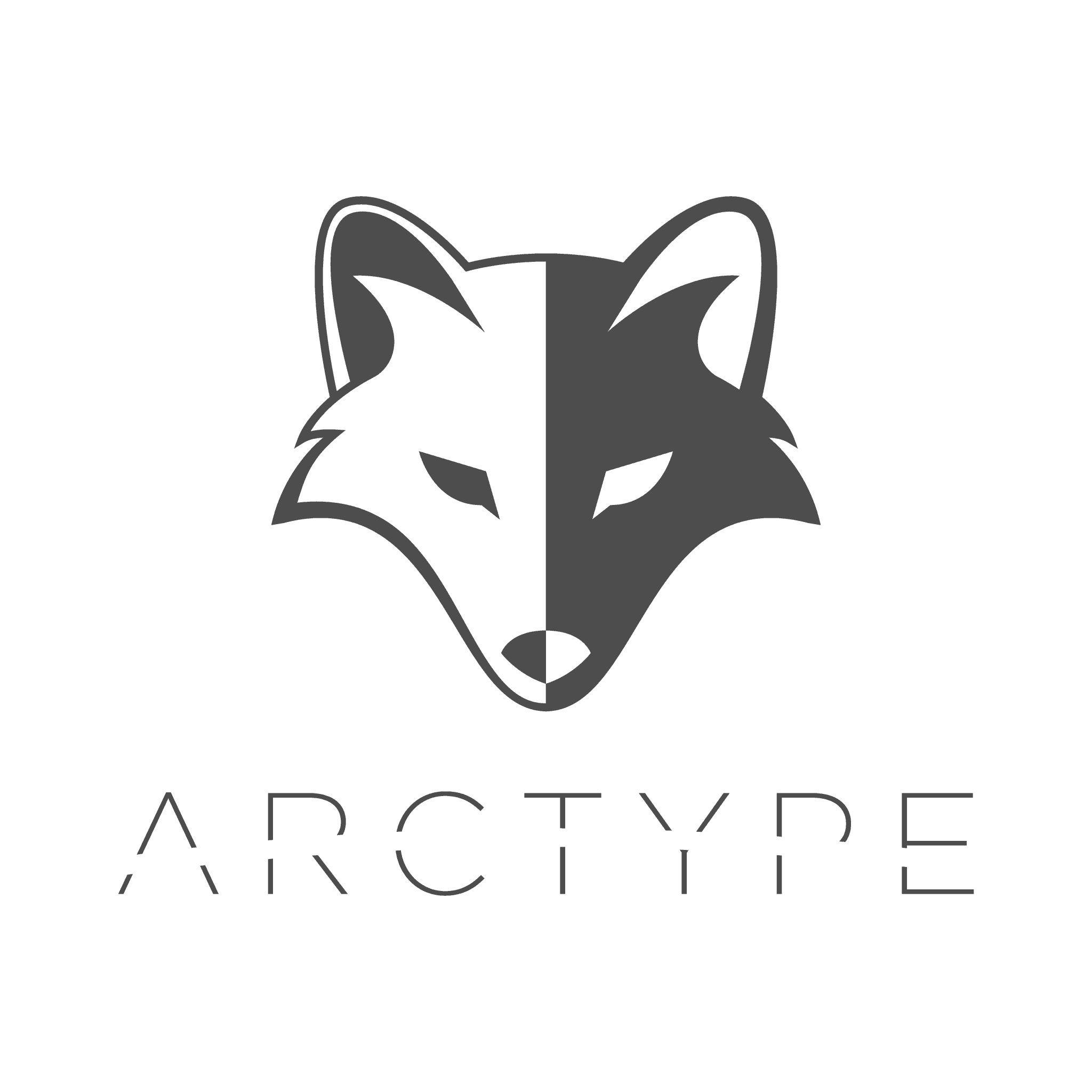 Arctype Ventures | Austin's Premier Venture Studio