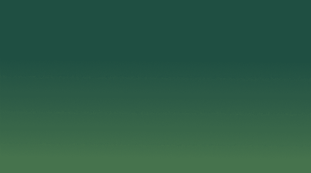 Palm Venture Studios