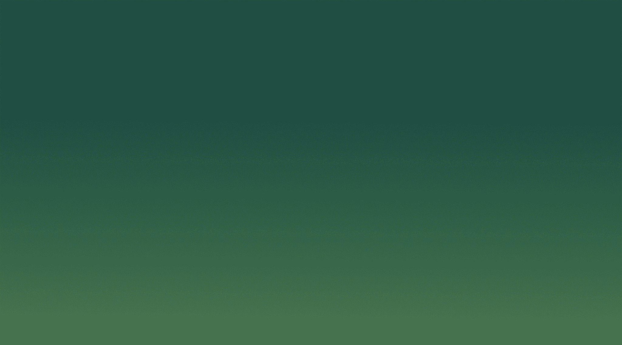 Palm Venture Studios