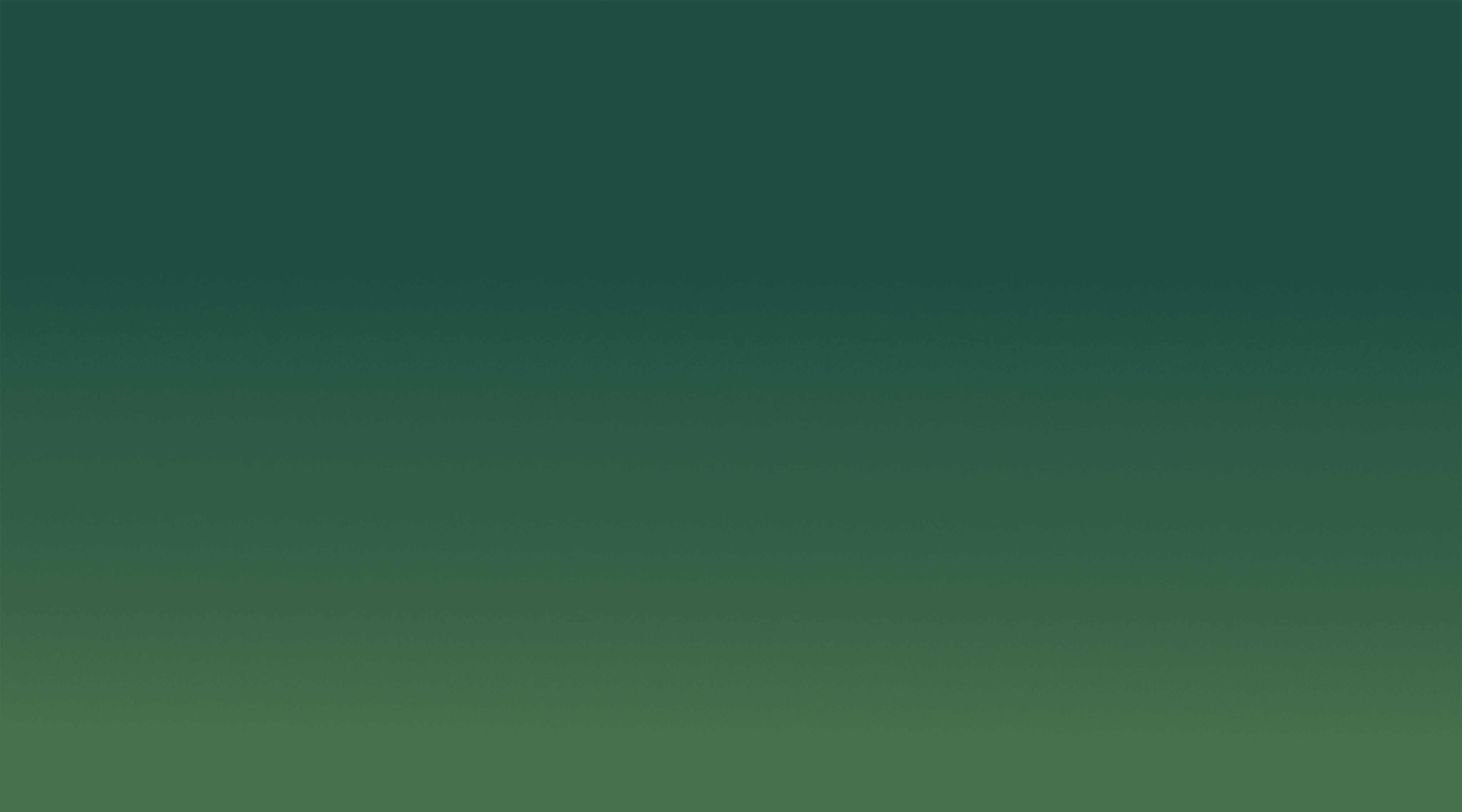 Palm Venture Studios