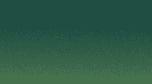 Palm Venture Studios