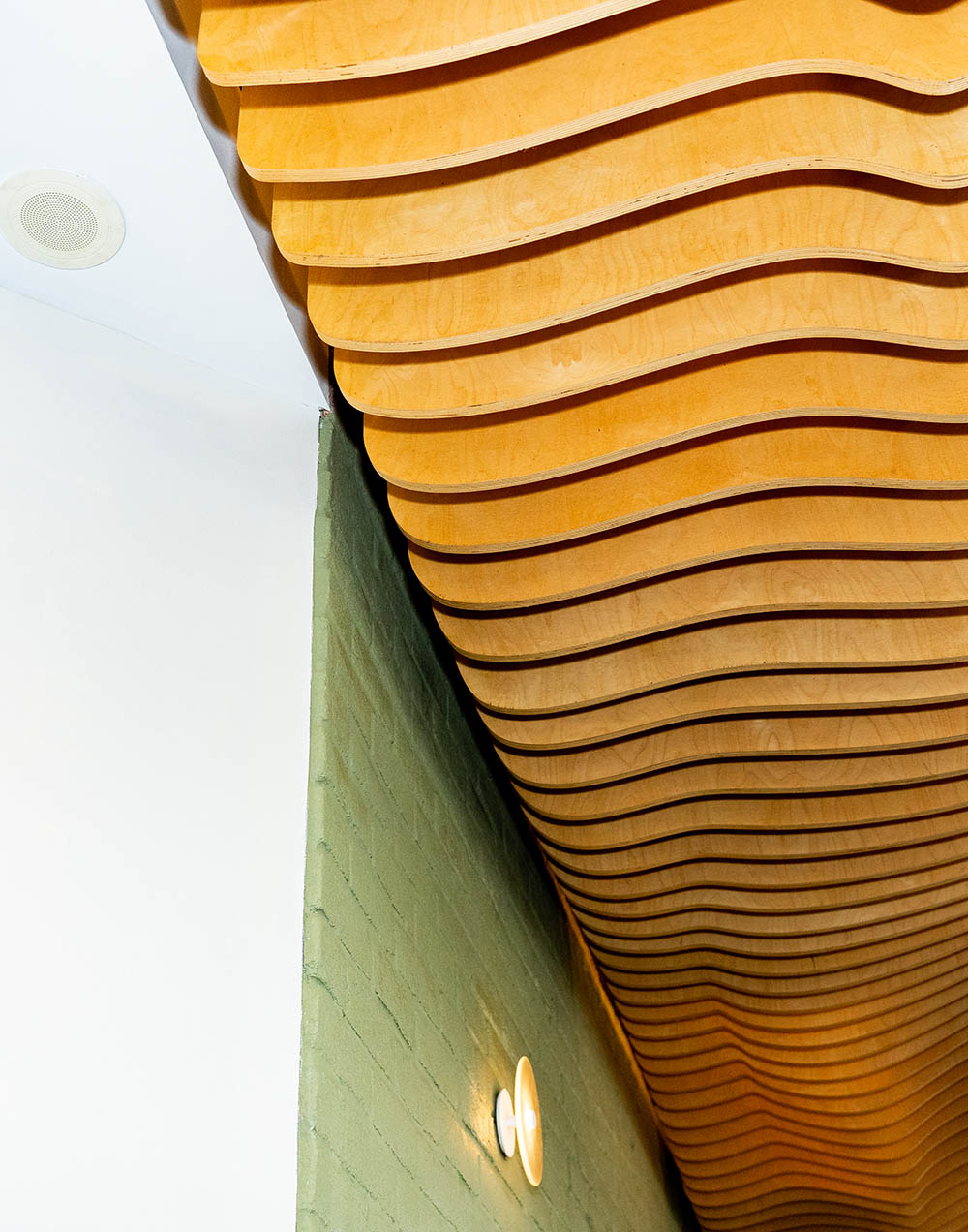 Shroom Creative - Your Vision. Our Magic.