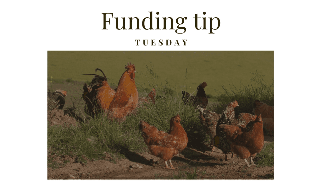 Tuesday Tip #2: Where to look for the right grants - Lasso