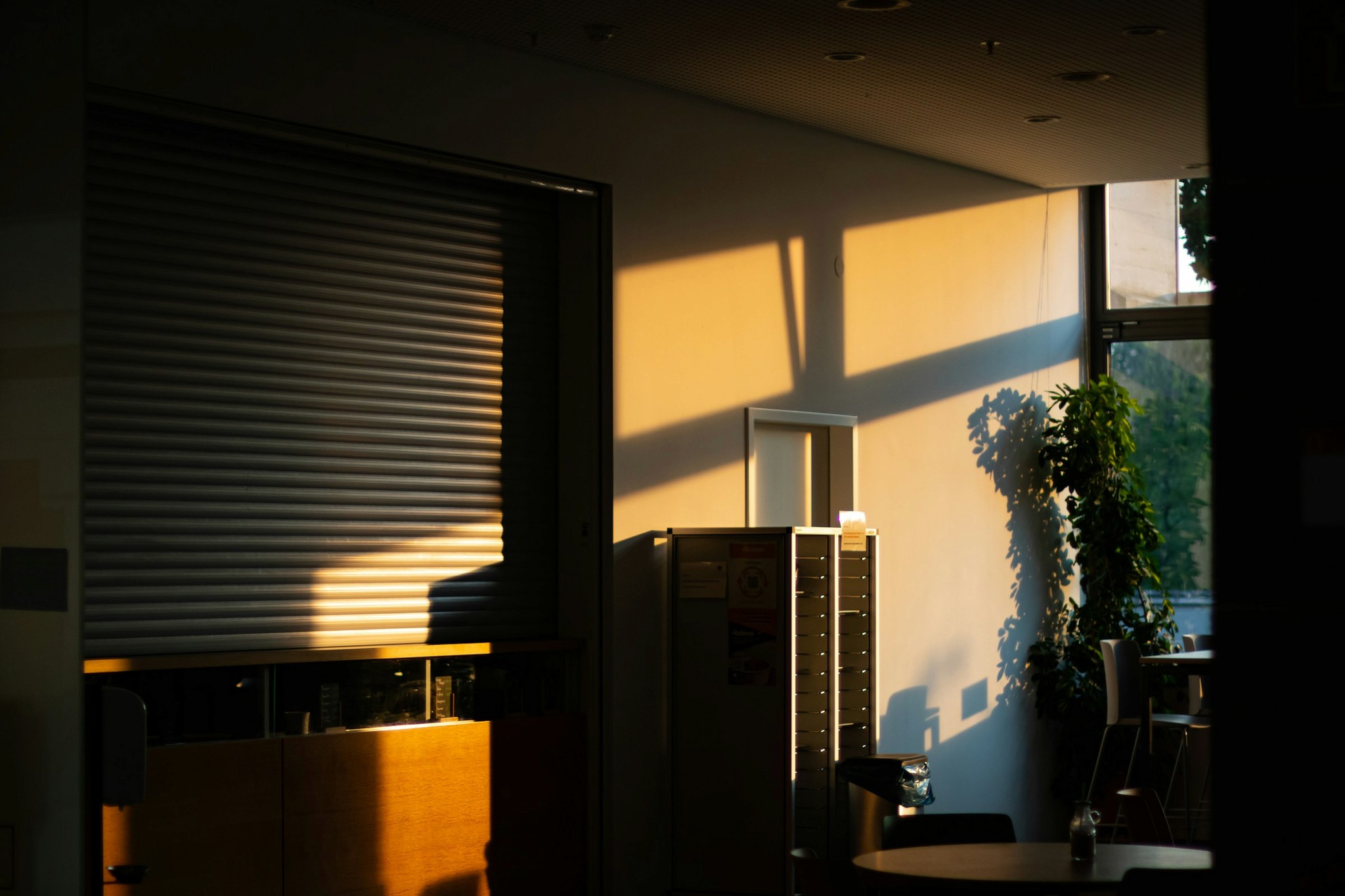 Dr. Andrew Huberman’s Morning Sunlight Guide for Better Health ...