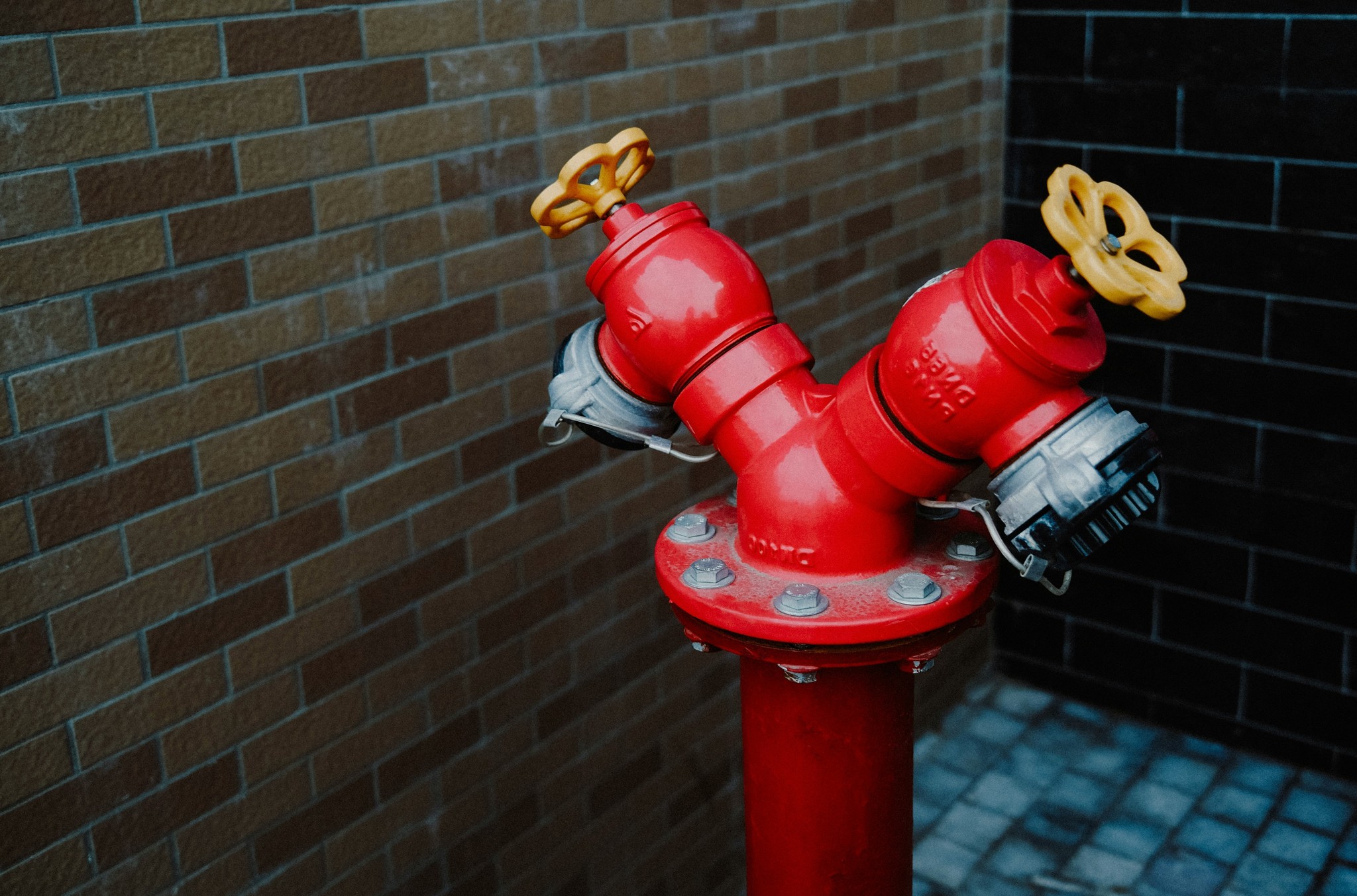 Blood Urea Nitrogen (BUN) - Emerald