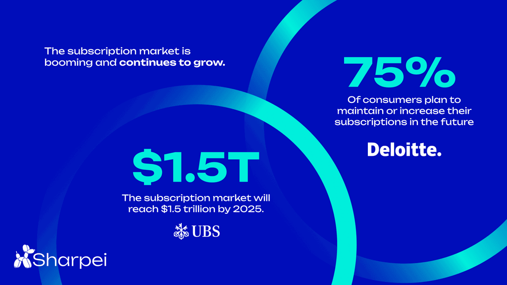 10 Proven Subscription Business Model Examples: A Guide To Revenue ...