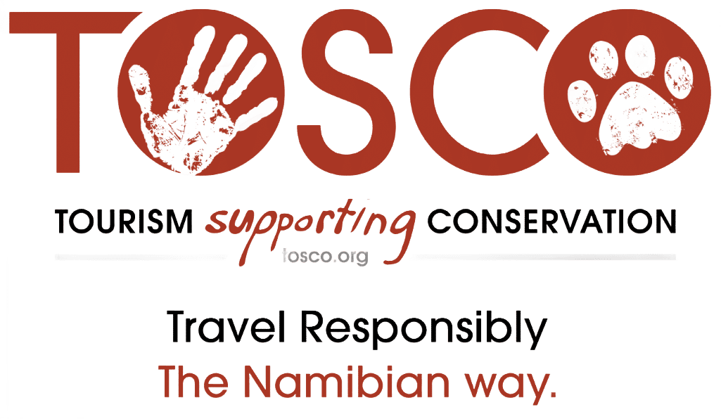 5 Iconic Animals You Can Spot On a Namibian Safari