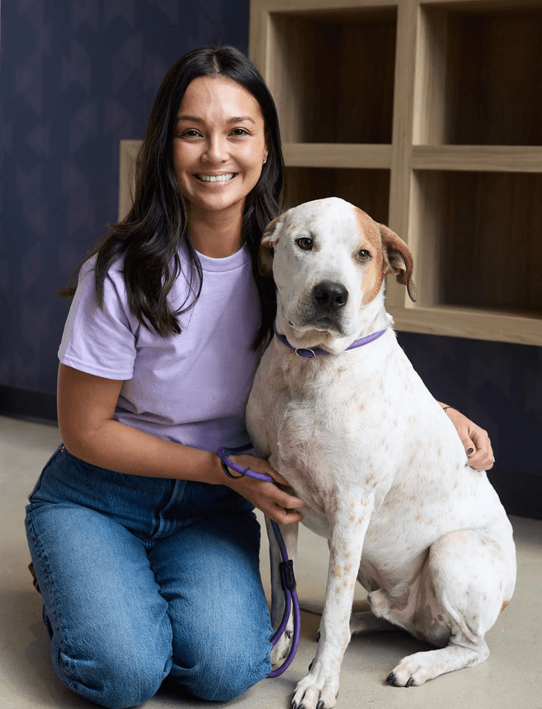 Molly's Dog Care | Alexandria VA