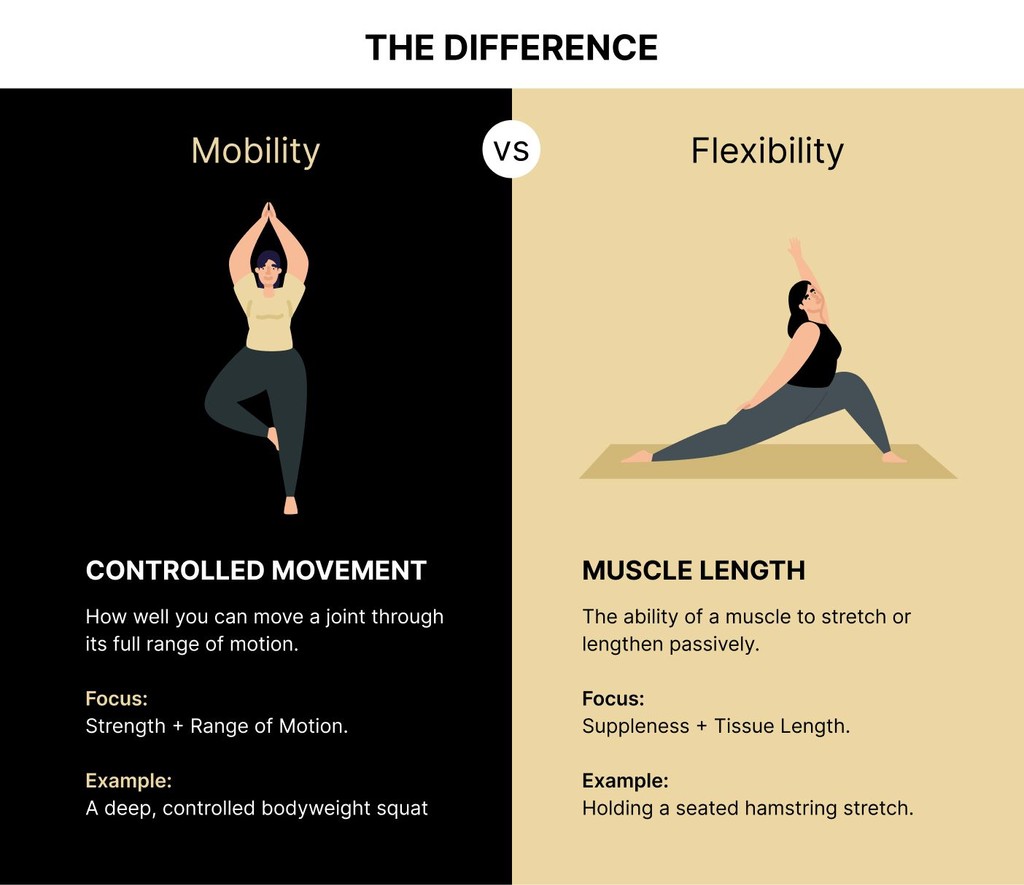 15 Mobility Exercises for Strong and Healthy Joints at Any Age