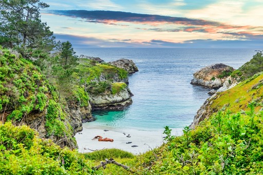 California Coastal Adventures: Monterey State Park Guide - Seascape ...