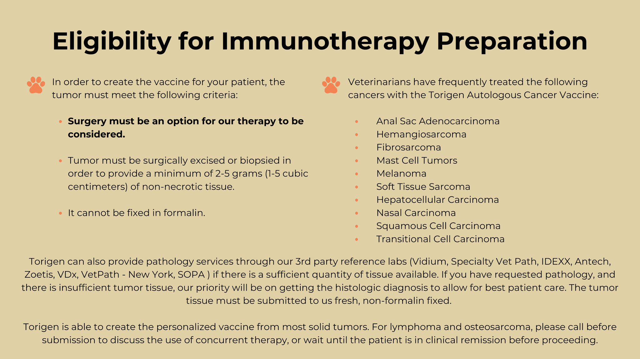 Torigen Pharmaceuticals | Veterinary Cancer Treatment