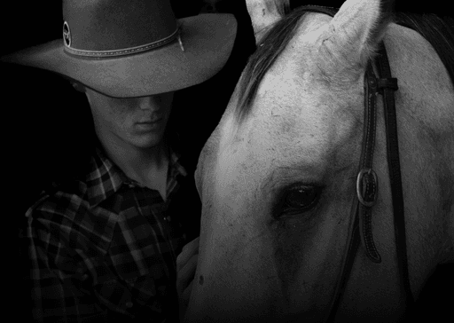 Bridle - For the Modern Equestrian