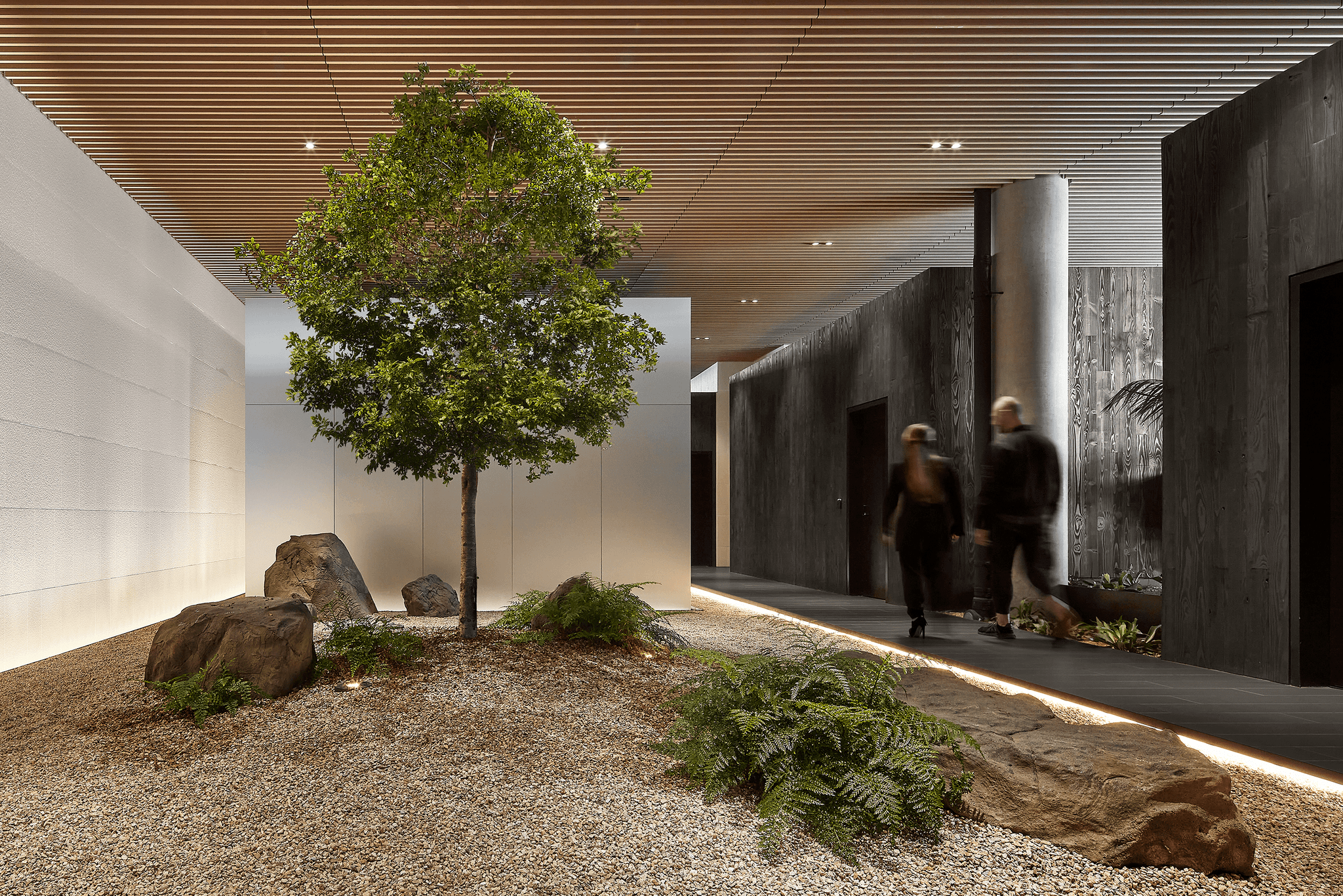 Biograph – The Future of Preventive Health and Longevity