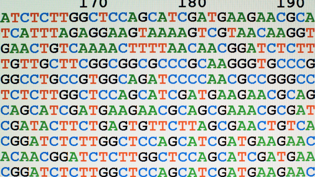 How to Build a Bioinformatics Portfolio - Bversity