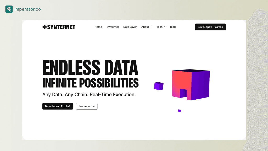 What is Synternet (SYNT) - A Comprehensive Overview