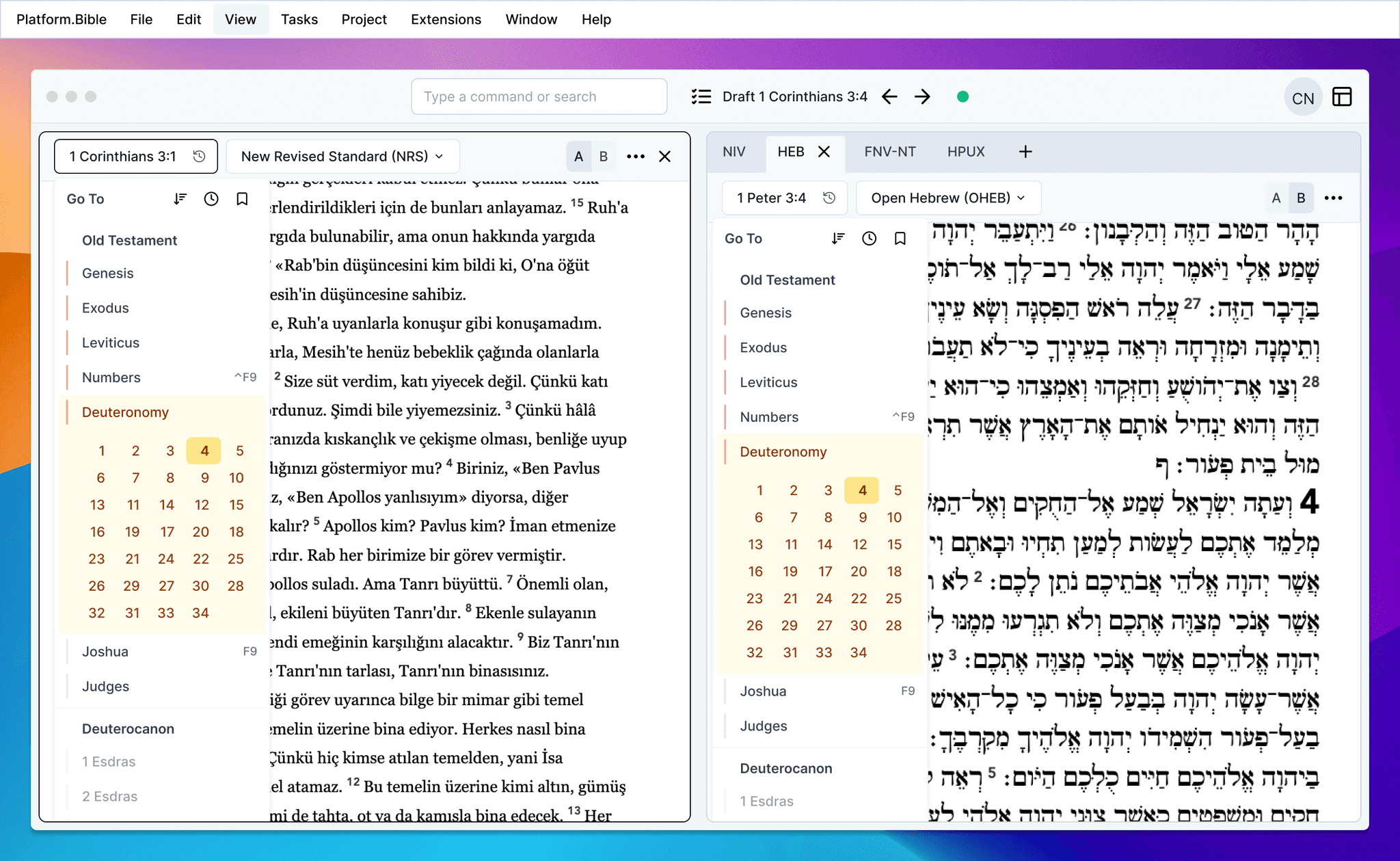 Platform · Open, Extensible Bible Translation Software