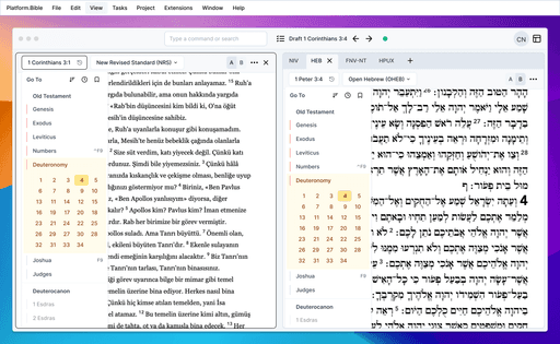 Platform · Open, Extensible Bible Translation Software