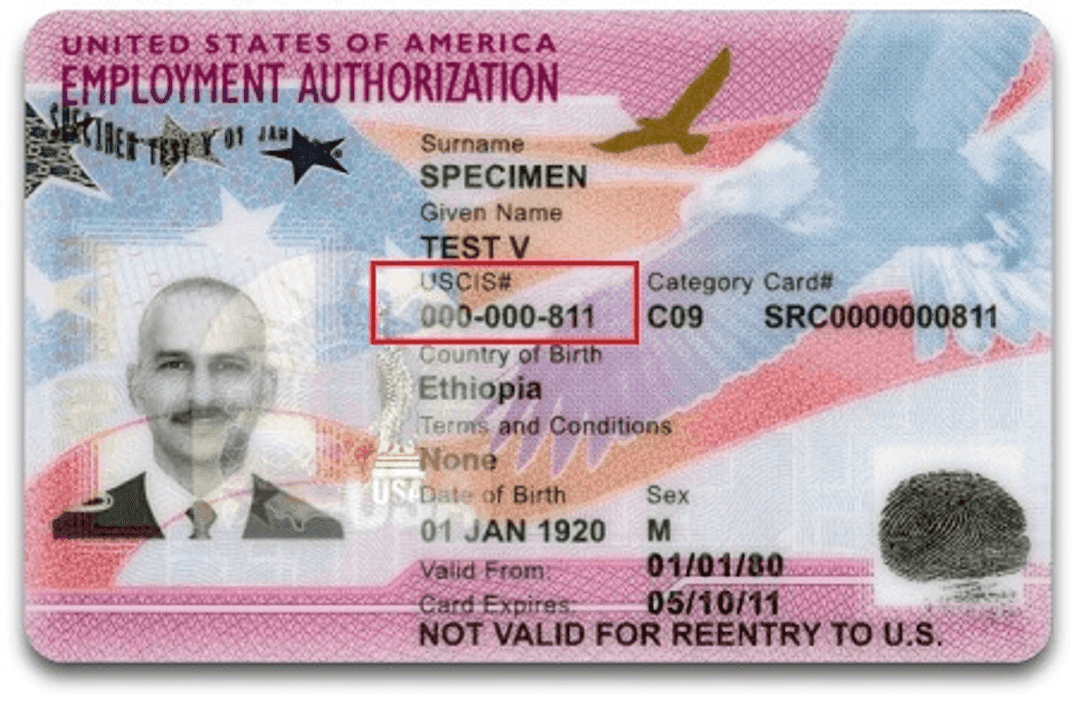 A Simple Guide: Where to Find Your Alien Registration Number