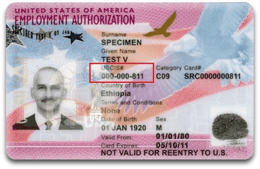 A Simple Guide: Where to Find Your Alien Registration Number