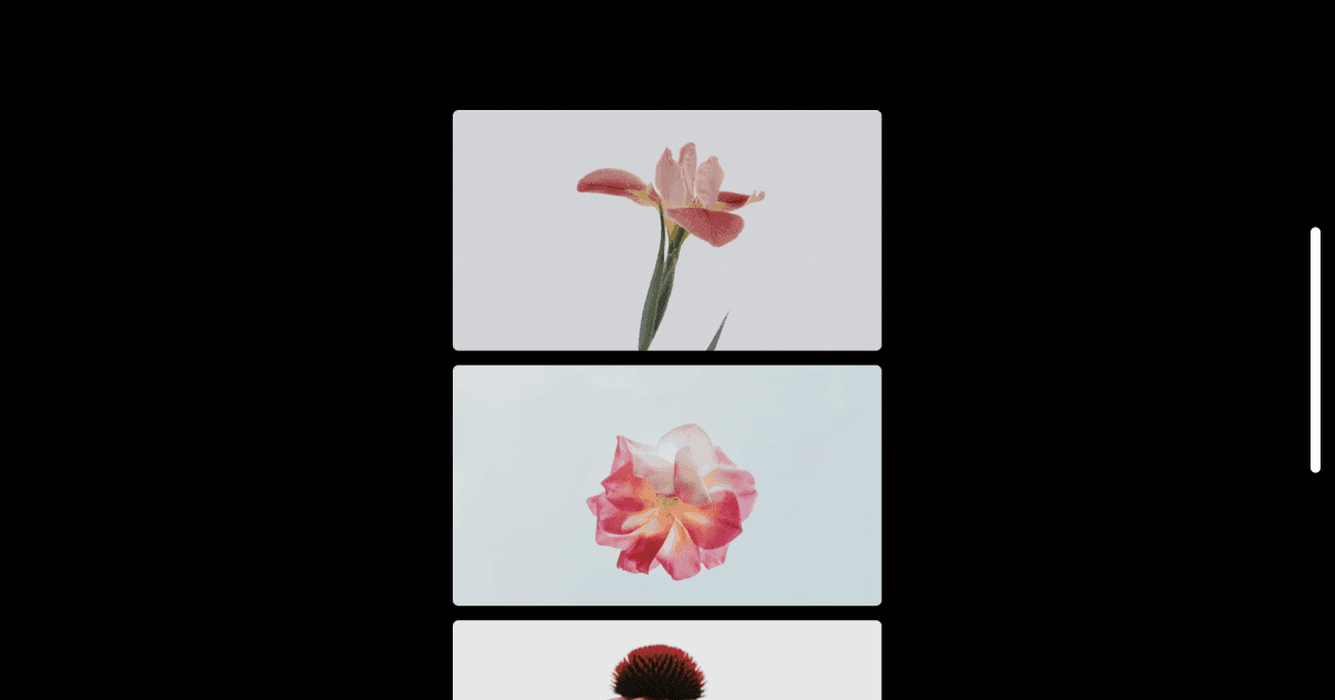 Free Framer Custom Scrollbar override | Framer Snippets